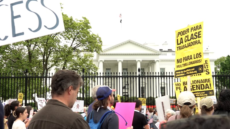 Anti-Trump protestors rally outside White House Anti-Trump protestors rally outside White House